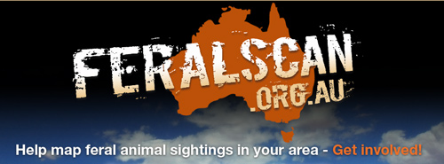 New features in FeralScan – Connecting Country