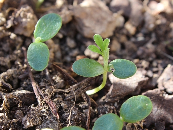 August 2014 – Connecting Country