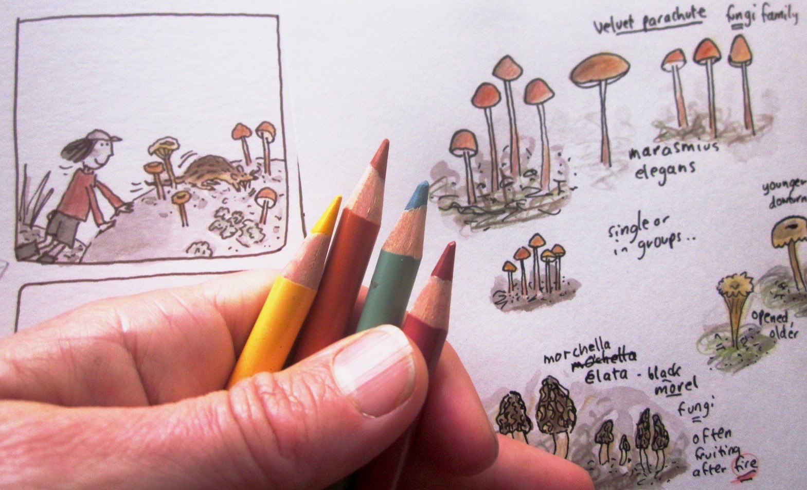 Rockhopping with Trace – Connecting Country