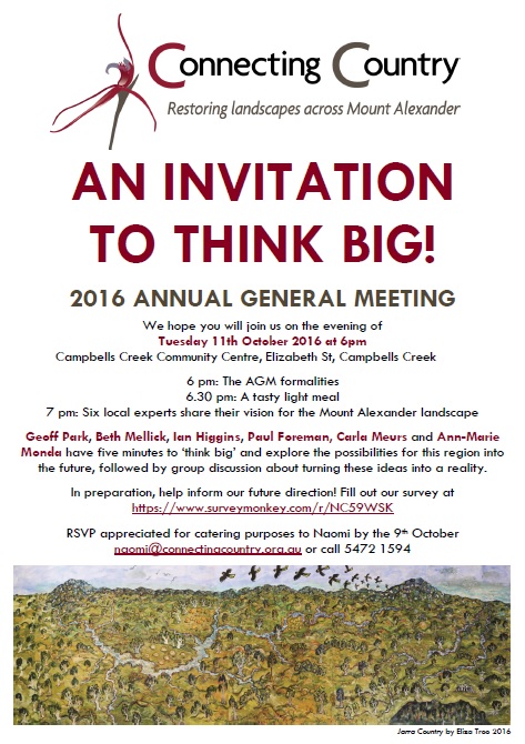 Tues 11 October 2016 – CC’s AGM: An invitation to think big ...