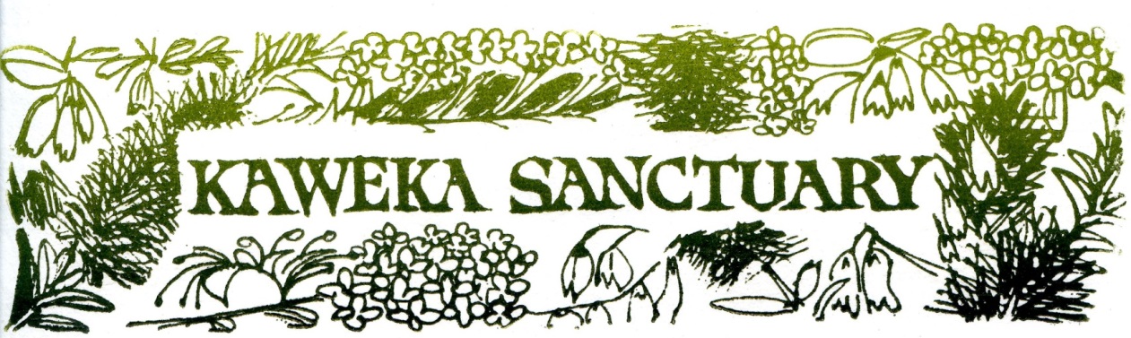 50 Years with Kaweka – Connecting Country