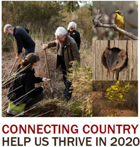 Help Connecting Country thrive in 2020 – Connecting Country