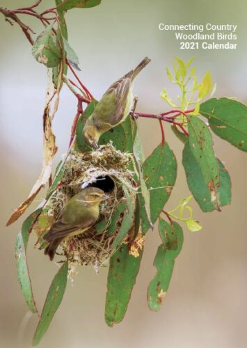 2021 Woodland bird calendars – available now! – Connecting Country