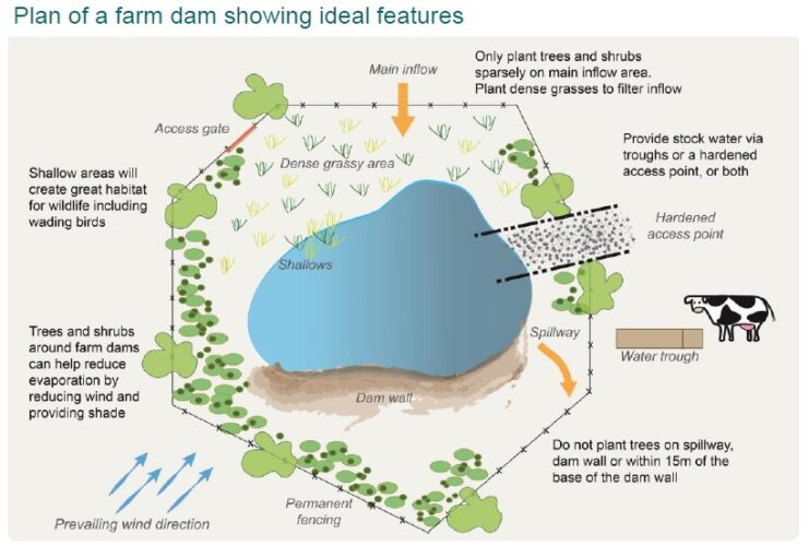 Healthy dams for habitat event, a healthy success – Connecting Country