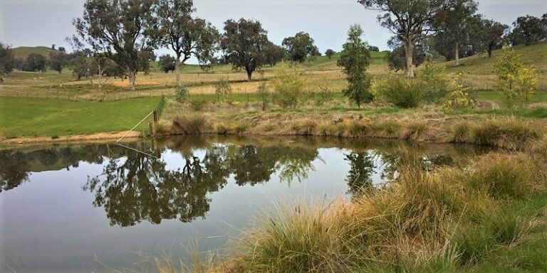 Healthy healthy dams event – Book Now – 5 June 2021 – Connecting Country