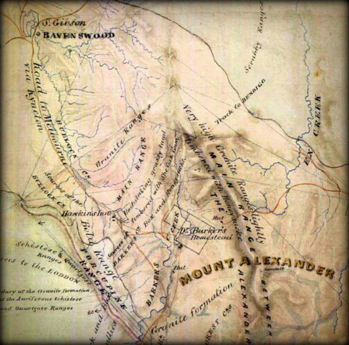 Our forgotten woodland plants – Connecting Country