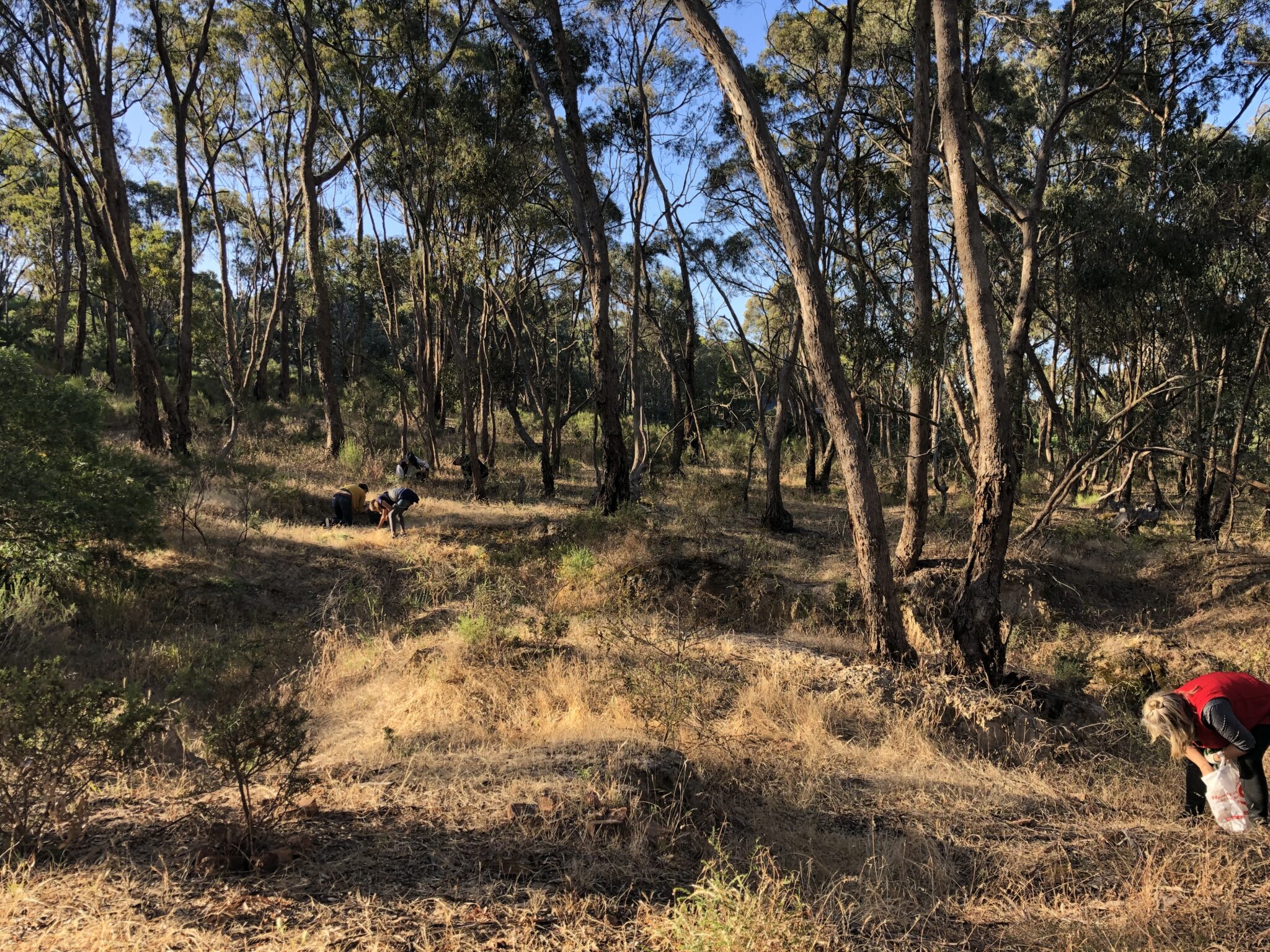 Landcare Sticky Beak Tour October 2022 – Victoria Gully Landcare Group ...
