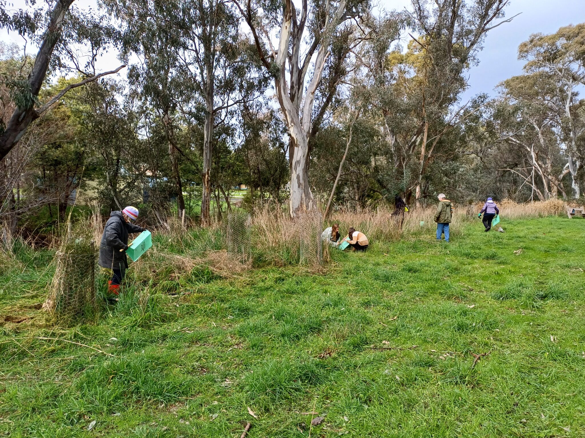 The Buzz project: promoting pollinators of Central Victoria, Landcare ...