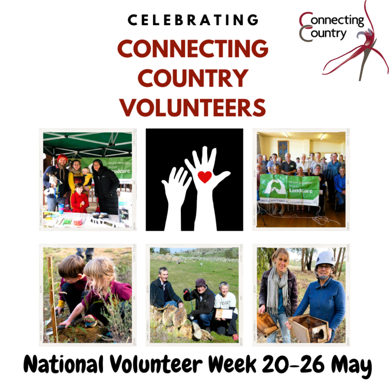 Celebrating our wonderful volunteers: National Volunteer Week ...